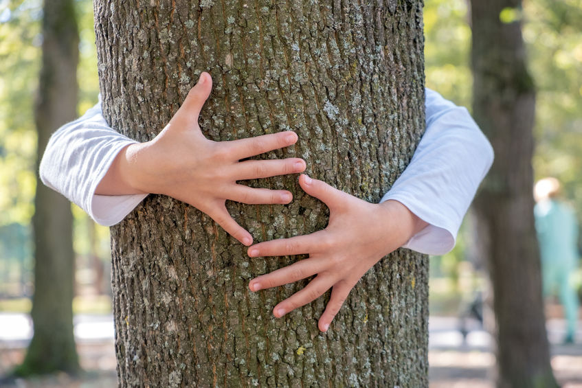 Do you Have to be Vegan to be an Environmentalist?